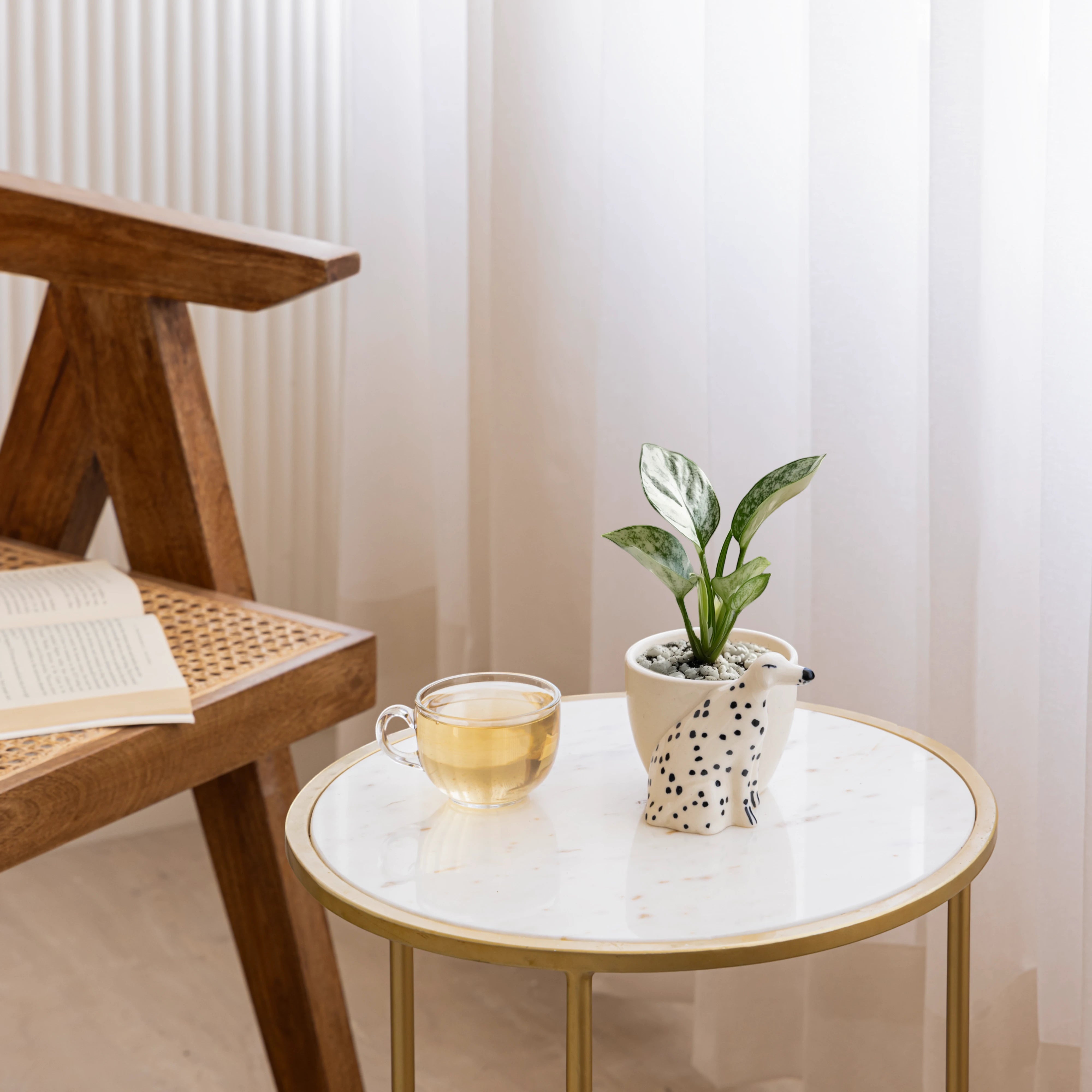 Spotted Dog Ceramic Planter - Small Indoor Plant Pots | Claymistry